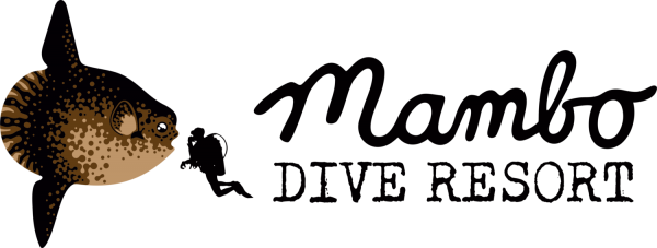 Mambo Dive - Mambo Dive Resort & Cafe Nusa Penida
